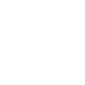 Home - TechyOctopus